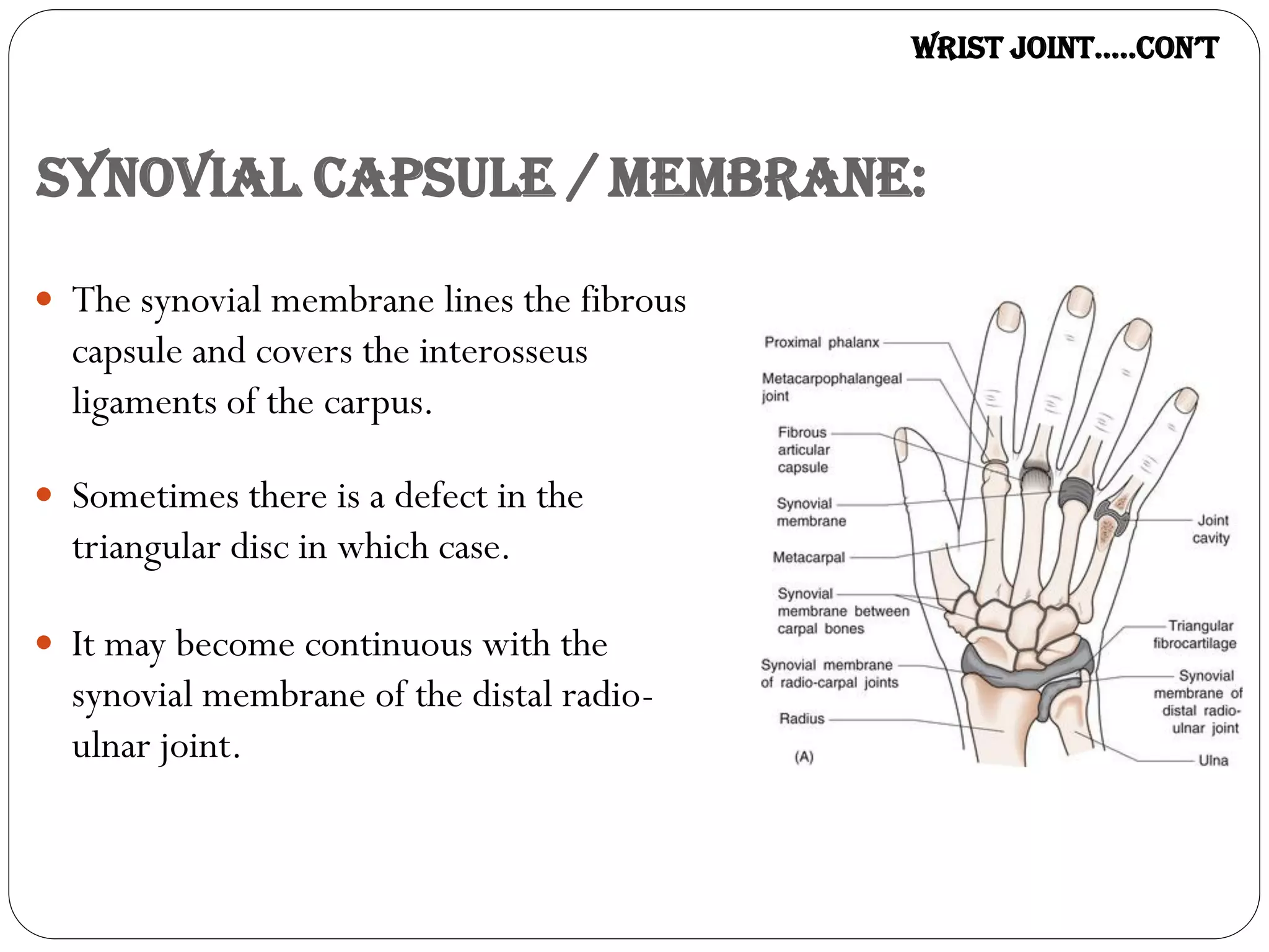 Wrist Joint.....2021.pdf