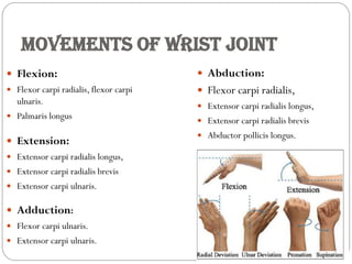 Wrist Joint.....2021.pdf