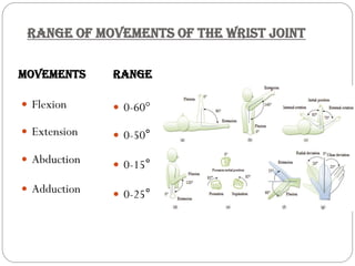 Wrist Joint.....2021.pdf