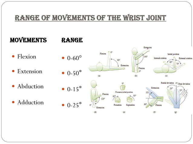 Wrist Joint.....2021.pdf