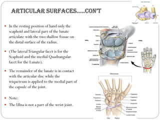 Wrist Joint.....2021.pdf