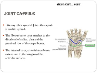 Wrist Joint.....2021.pdf