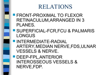WRIST JOINT AND JOINTS IN THE HAND WITH APPLIED ASPECTS | PPT