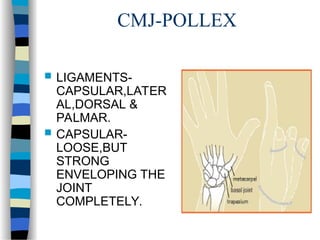 WRIST JOINT AND JOINTS IN THE HAND WITH APPLIED ASPECTS | PPT