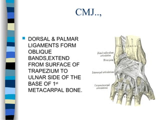 WRIST JOINT AND JOINTS IN THE HAND WITH APPLIED ASPECTS | PPT