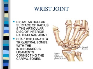 WRIST JOINT AND JOINTS IN THE HAND WITH APPLIED ASPECTS | PPT