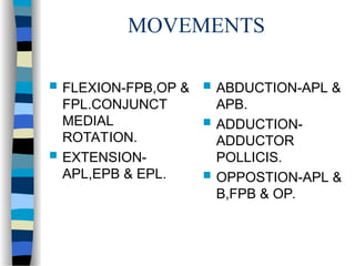 WRIST JOINT AND JOINTS IN THE HAND WITH APPLIED ASPECTS | PPT