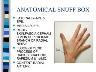 WRIST JOINT AND JOINTS IN THE HAND WITH APPLIED ASPECTS | PPT