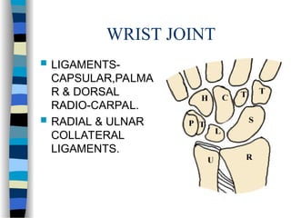 WRIST JOINT AND JOINTS IN THE HAND WITH APPLIED ASPECTS | PPT