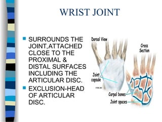 WRIST JOINT AND JOINTS IN THE HAND WITH APPLIED ASPECTS | PPT