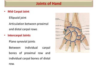 Wrist joint | PPTX