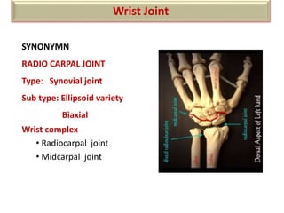Radiocarpal Joint