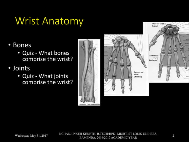 Comprehensive Wrist Joint Anatomy, MDIRT Nchanji Nkeh Keneth | PPT