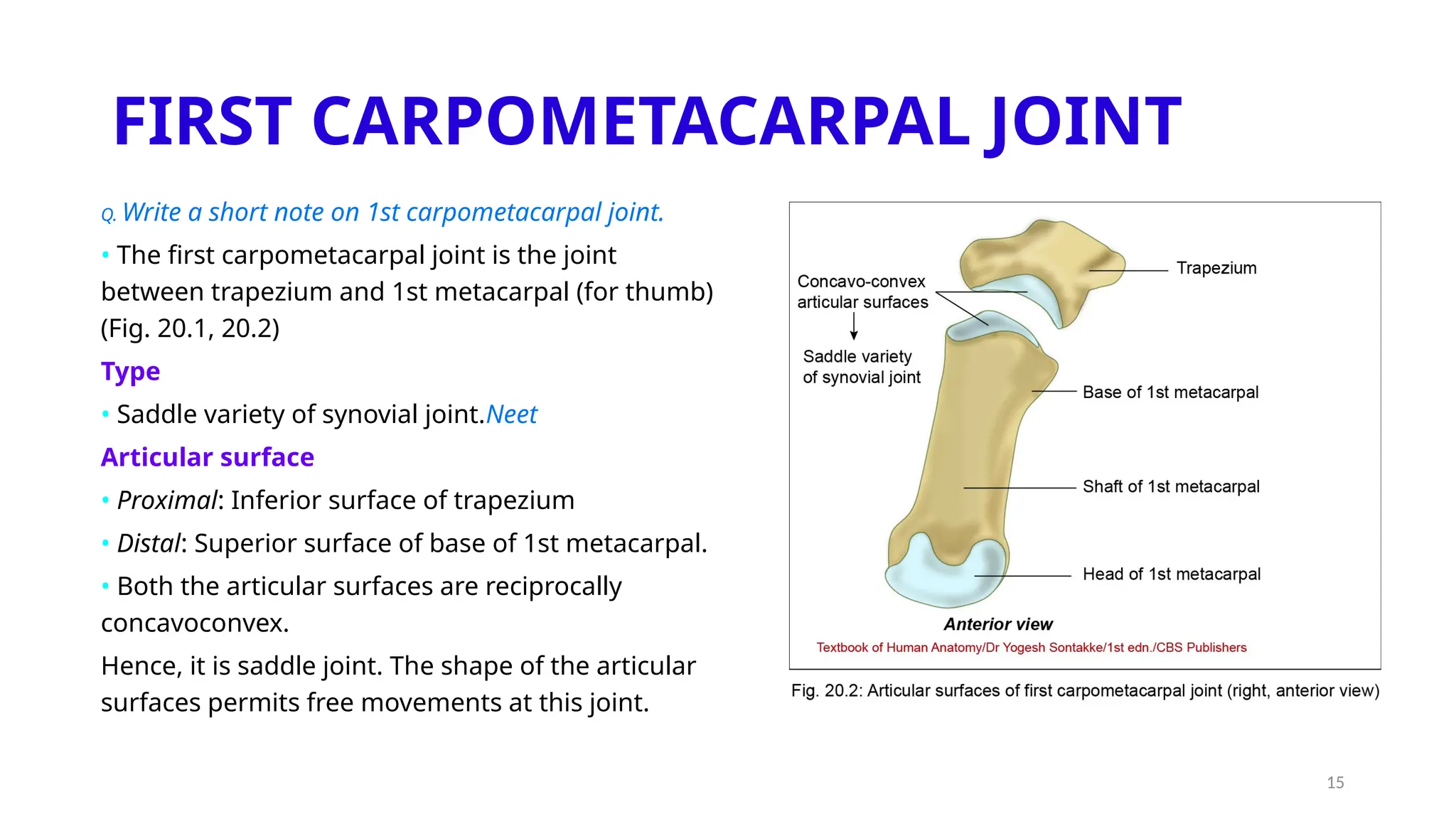 Wrist Joint and First Carpo metacarpal joint.pptx