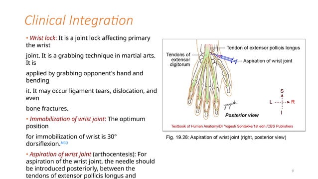 Wrist Joint and First Carpo metacarpal joint.pptx