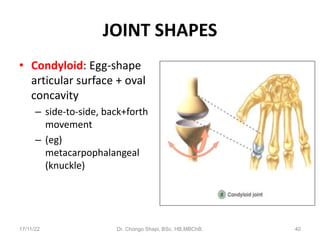 Condyloid Joint Wrist