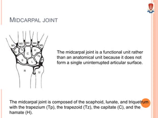 Wrist joint complex | PPT