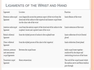 Wrist joint complex | PPTX
