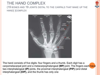 Wrist joint complex | PPTX