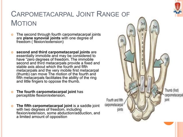 Wrist joint complex | PPT