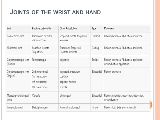 Wrist joint complex | PPT