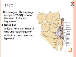 Wrist joint complex | PPT