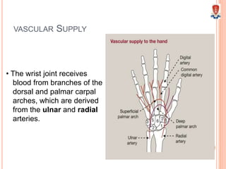 Wrist joint complex | PPTX