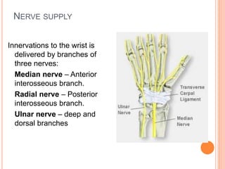 Wrist joint complex | PPT