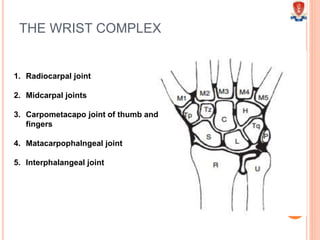 Wrist joint complex | PPT