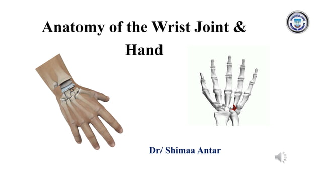 Anatomy of the Wrist joint and hand.ppsx