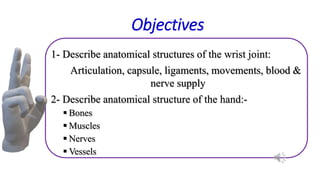Anatomy of the Wrist joint and hand.ppsx