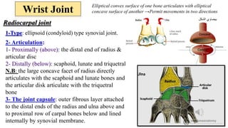 Anatomy of the Wrist joint and hand.ppsx