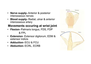 joints of hand.pdf