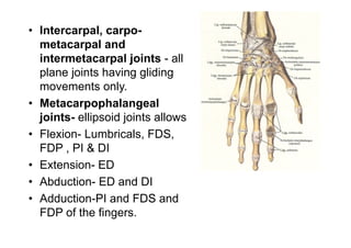 joints of hand.pdf