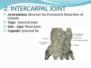 Wrist Joint: Anatomy, BioMechinics, Presentation. | PPTX