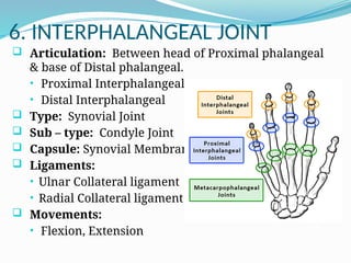 Wrist Joint: Anatomy, BioMechinics, Presentation. | PPTX