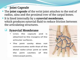 Wrist Joint: Anatomy, BioMechinics, Presentation. | PPTX