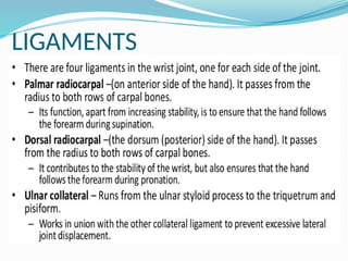 Wrist Joint: Anatomy, BioMechinics, Presentation. | PPTX