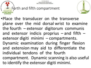 Wrist joint ultrasound | PDF