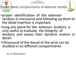 Wrist joint ultrasound | PDF