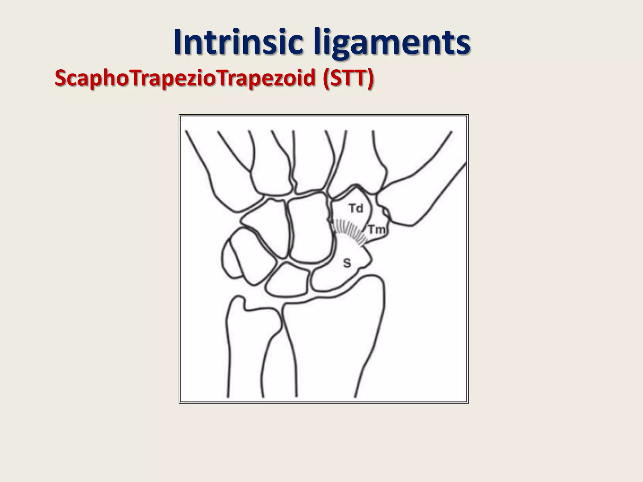 Wrist ligaments | PPTX