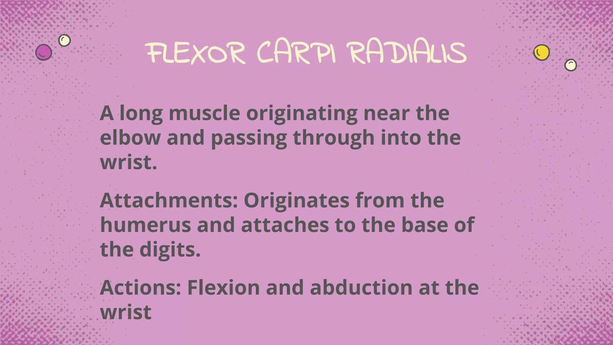 Wrist Muscles | PPTX