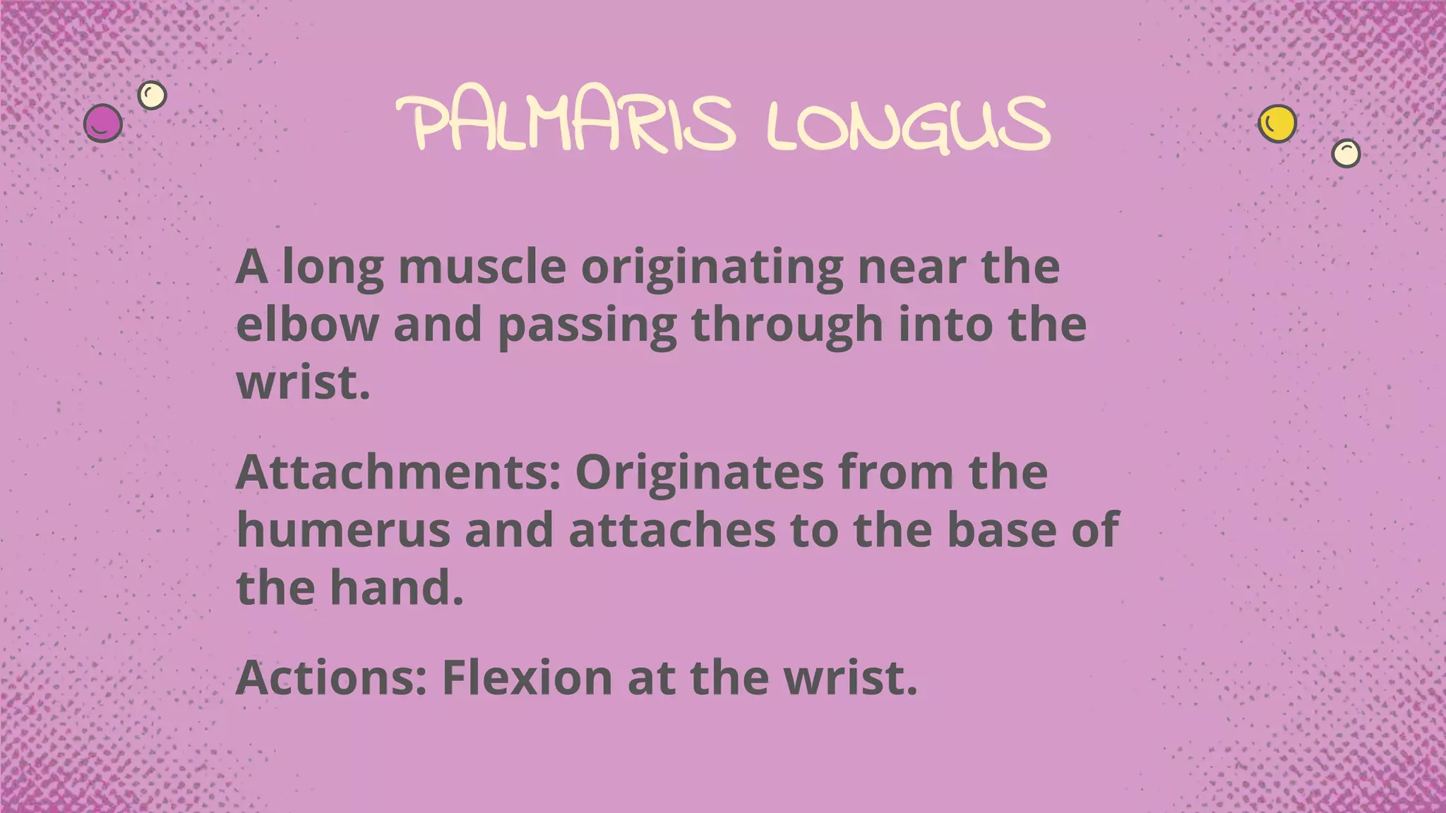 Wrist Muscles | PPTX