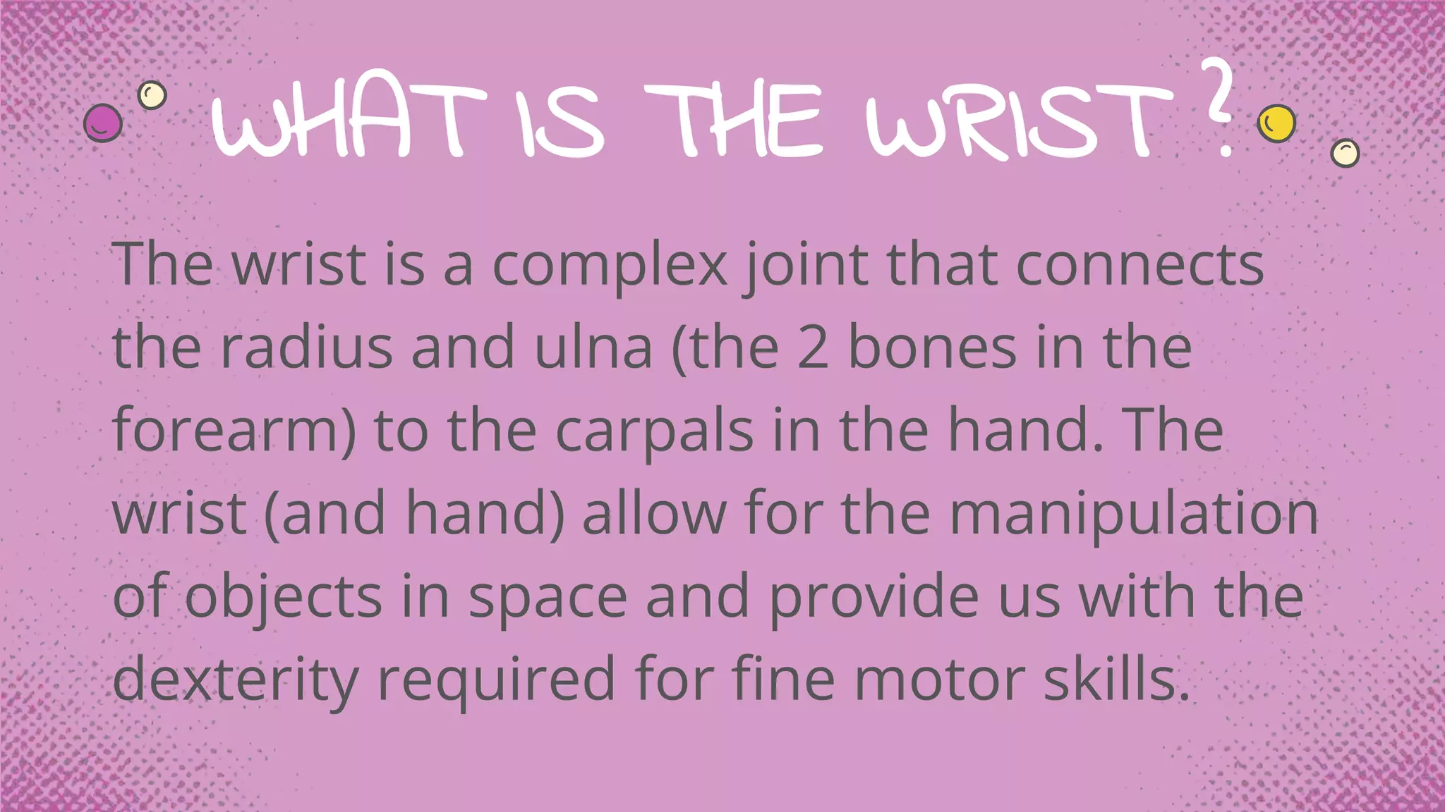 Wrist Muscles | PPTX