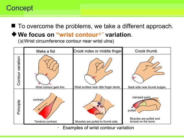 Hand Shape Classification with a Wrist Contour Sensor: Development of a ...