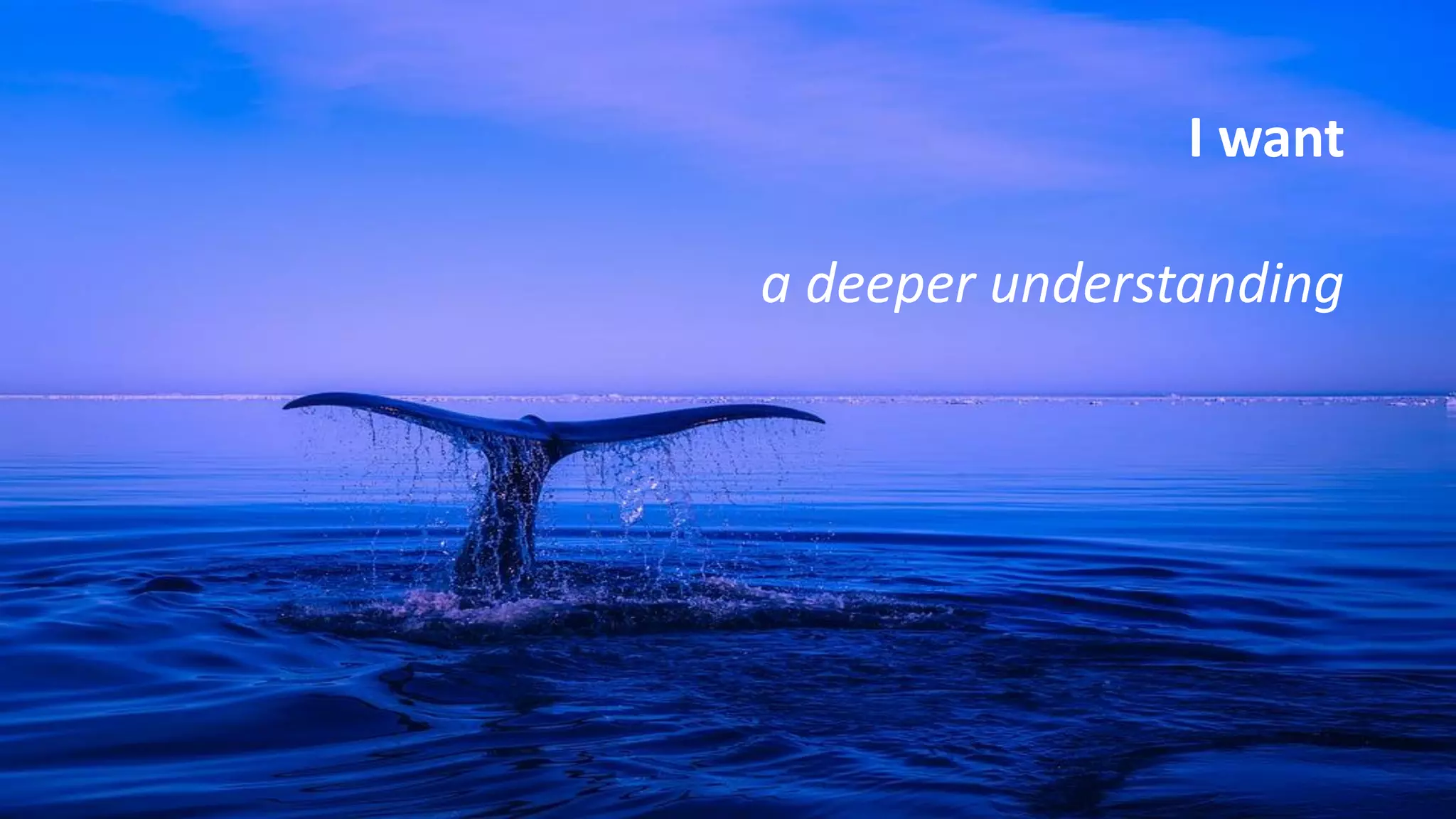 Writ 1301 stasis theory | PDF