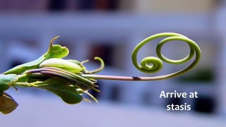 Writ 1301 stasis theory | PDF