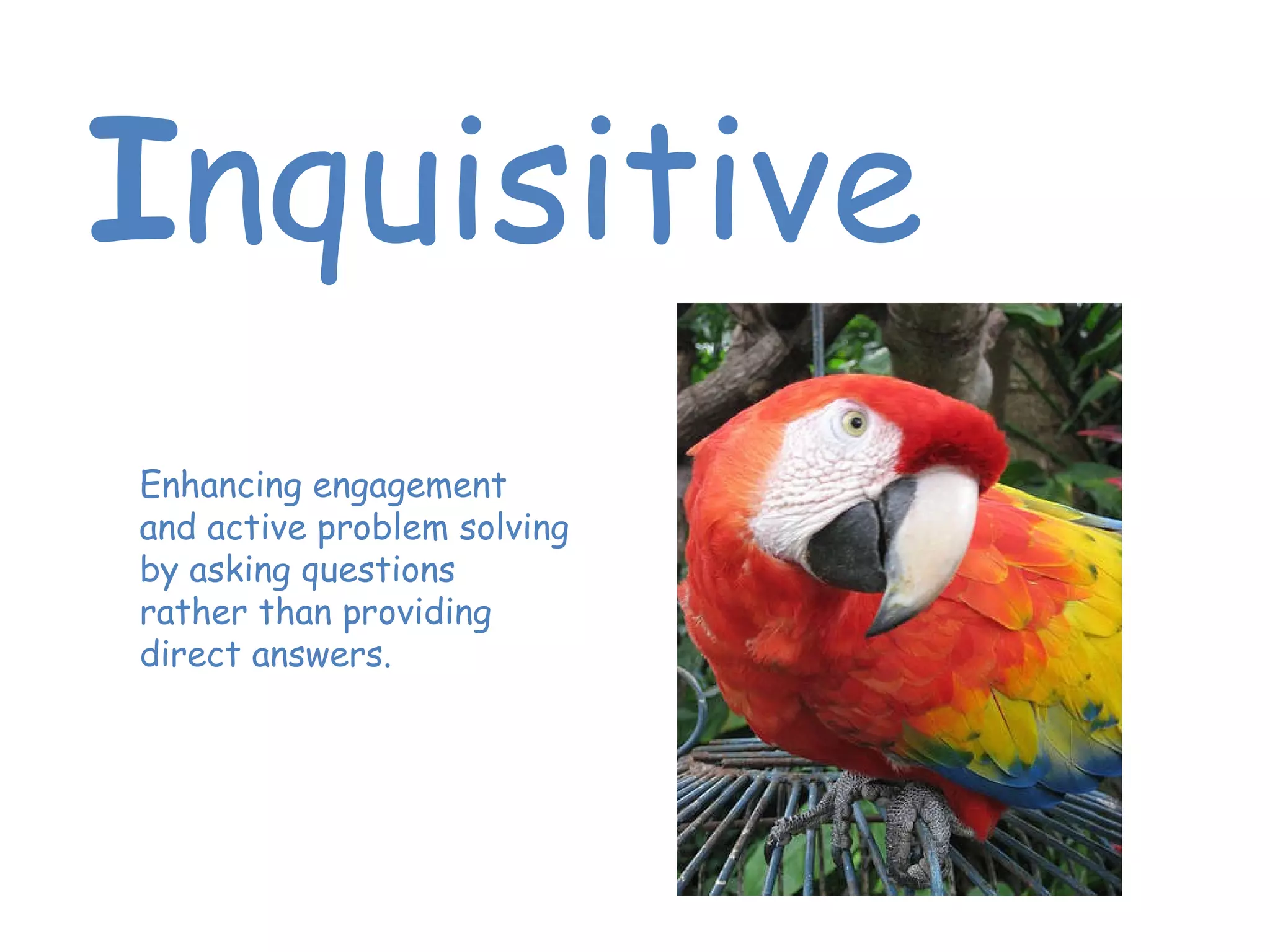 The WRITE model | PPT