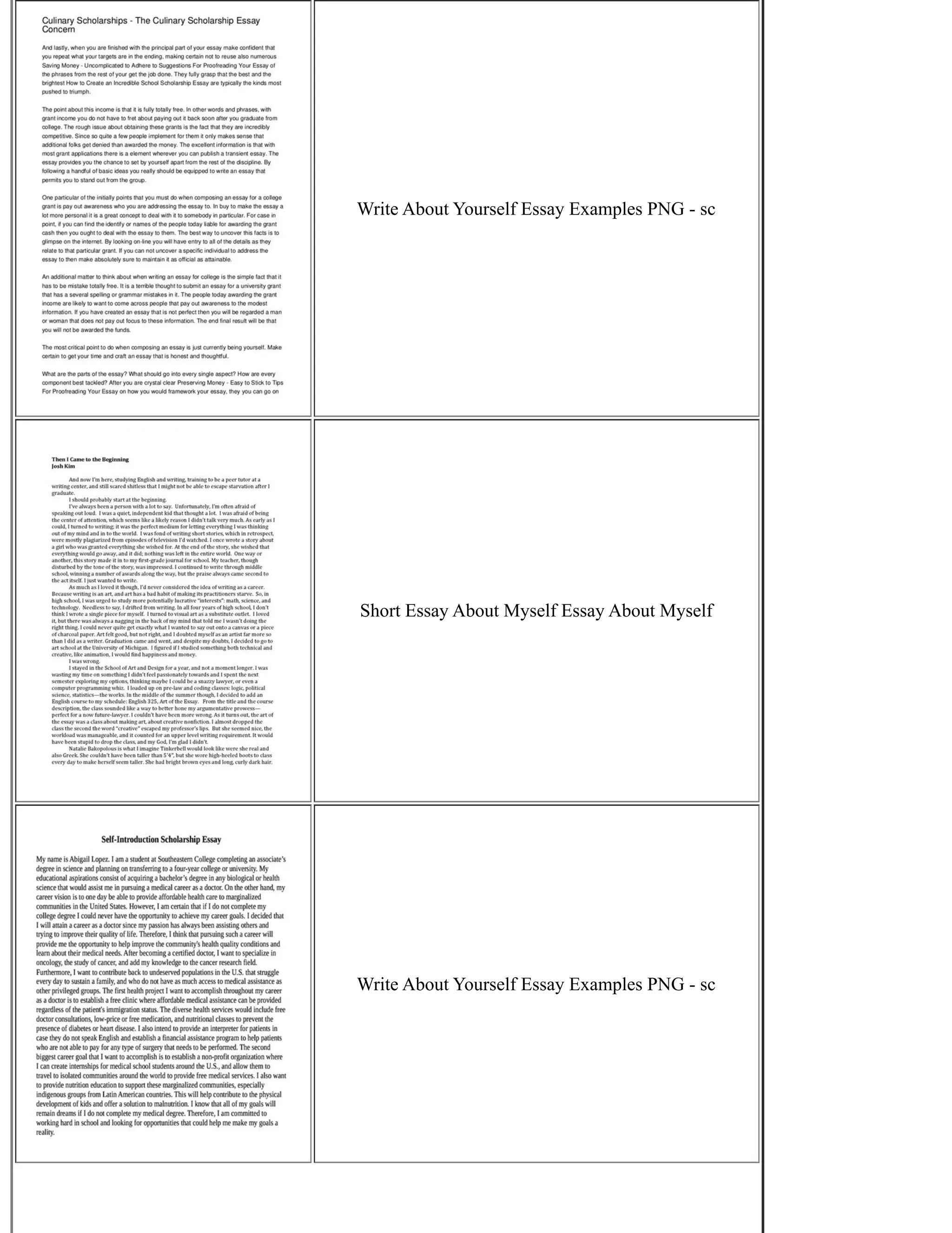 Write About Yourself Essay | PDF