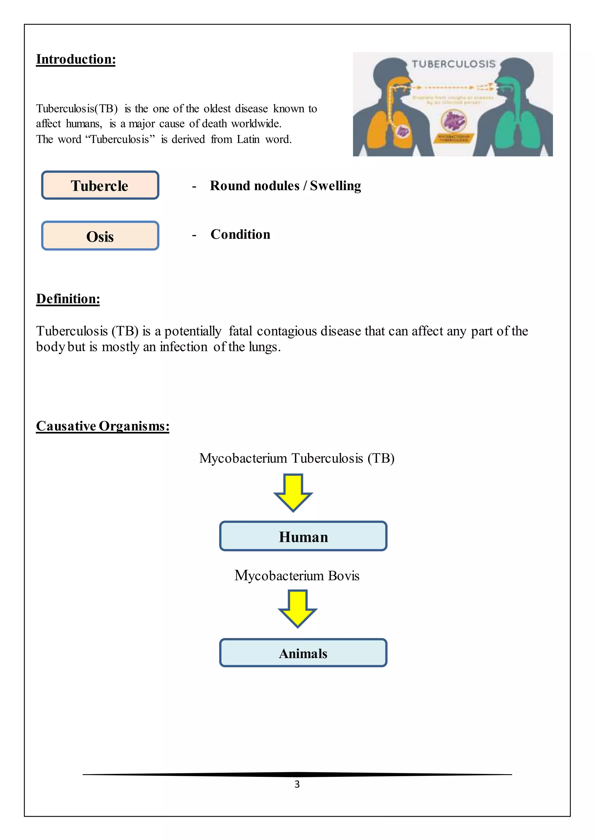 Detailed examination of tuberculosis in microbiology laboratory ...